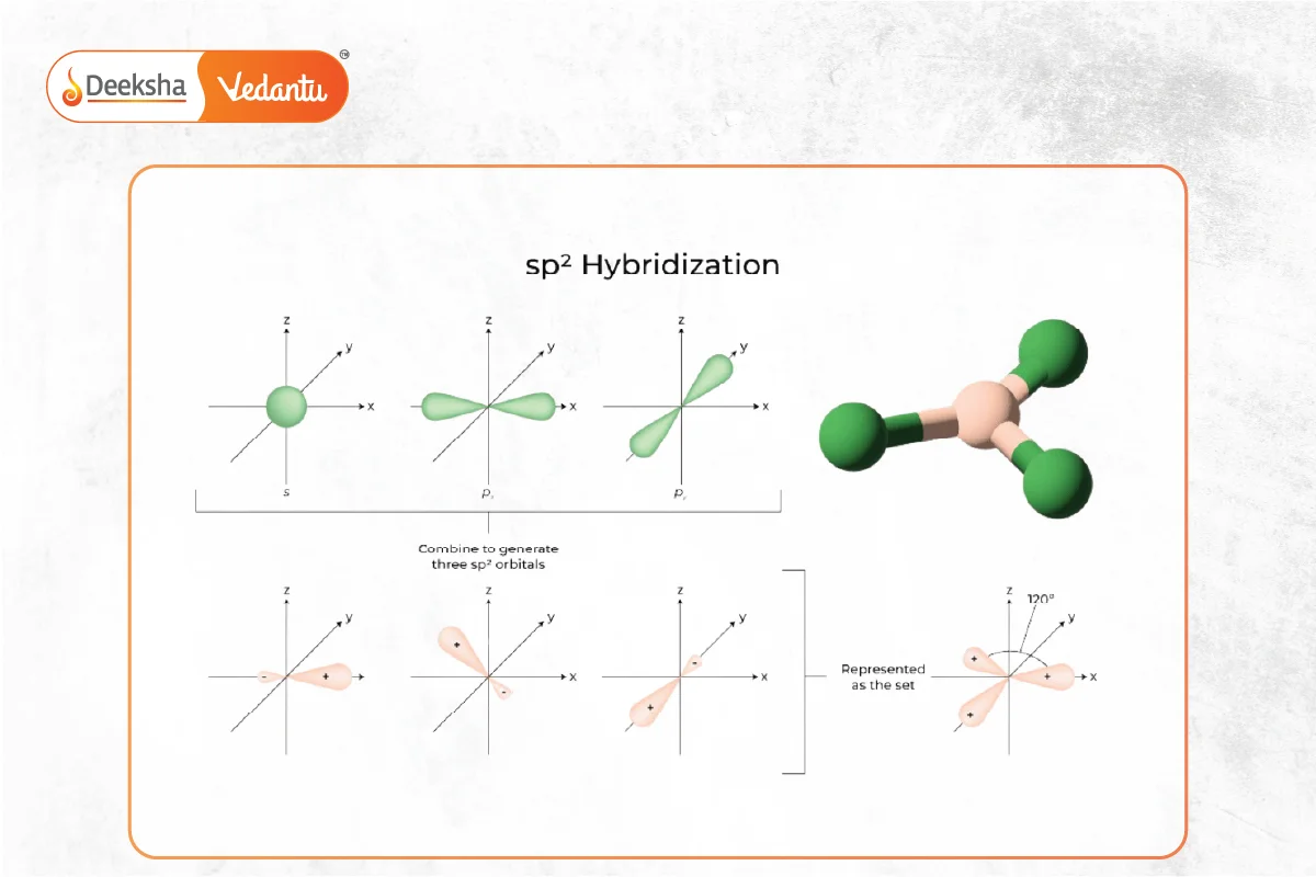 Hybridization In Chemistry Types Features And Examples