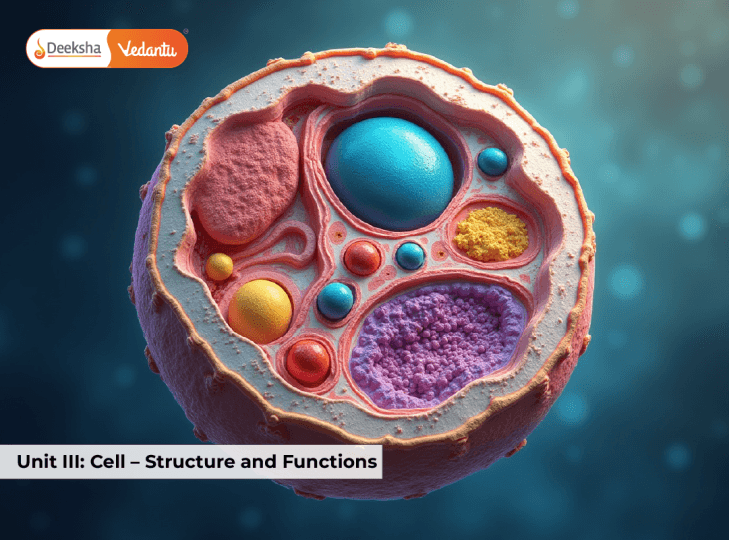 Cell Structure and Functions – Class 11 Biology Unit 3 for NEET ...